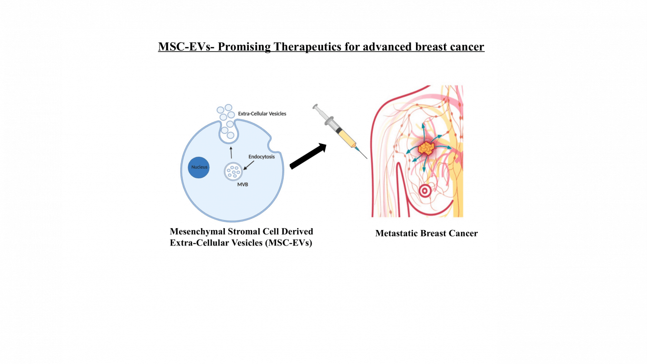 3D breast cancer-on- a-chip model – lifETIME CDT