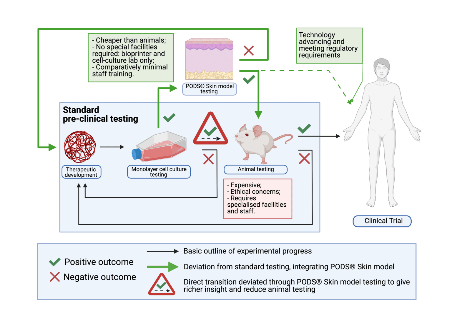 3D PODS® skin models: Why they really matter – lifETIME CDT