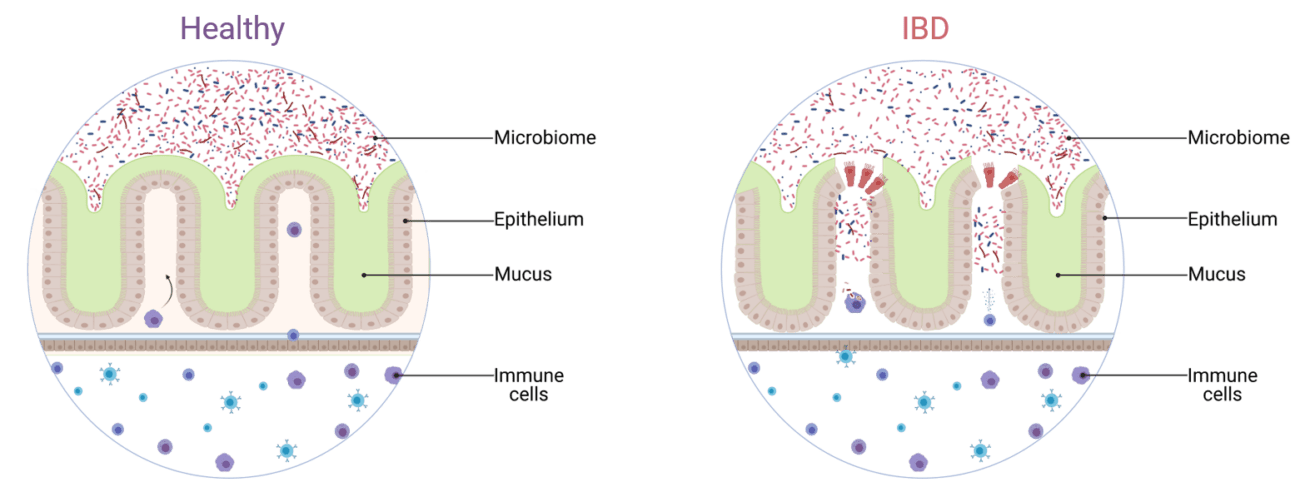Controlling the Chaos – lifETIME CDT
