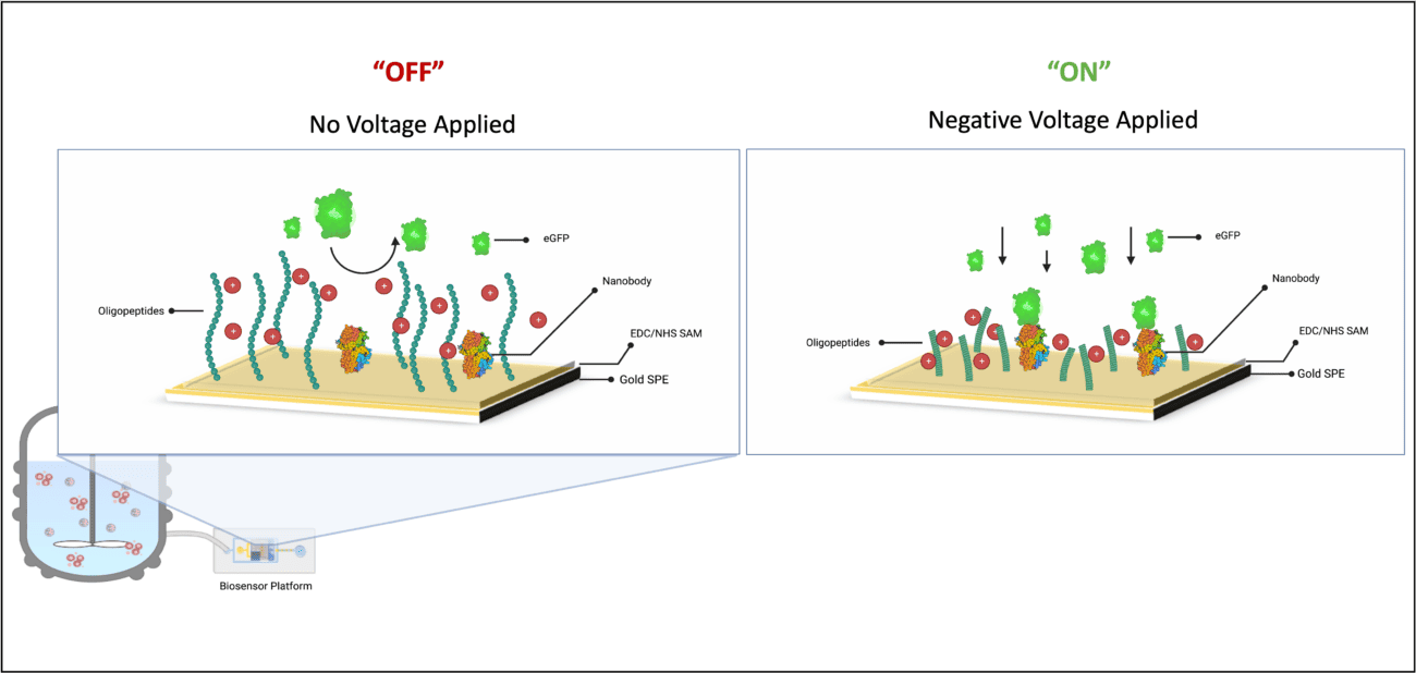 Lab 4.0: The Rise of Smart Biosensors – lifETIME CDT
